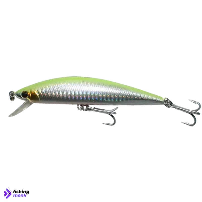 Megabarra – Fishingmonk